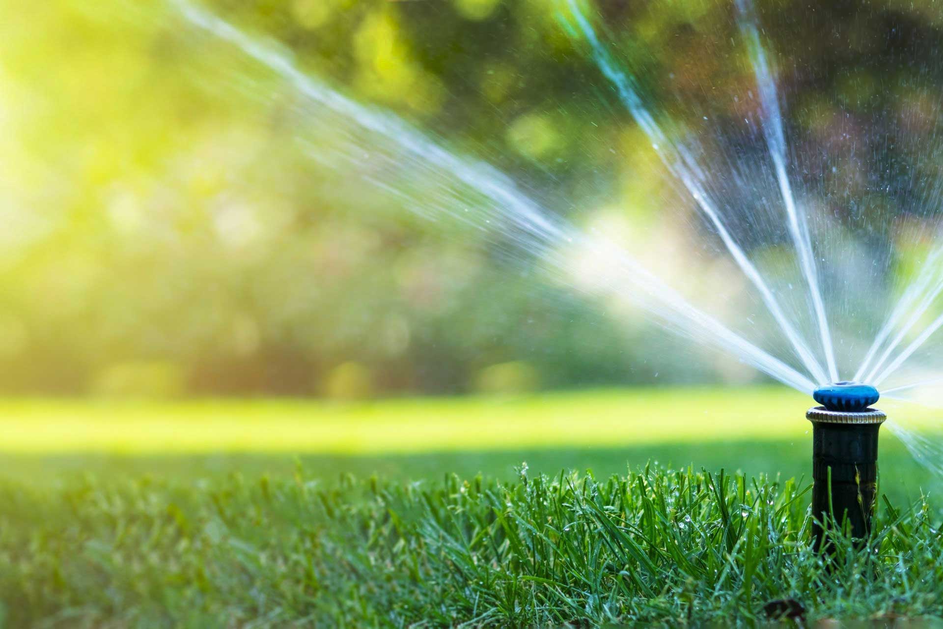 Keeping Your Landscape Healthy and Beautiful: When to Upgrade Your ...