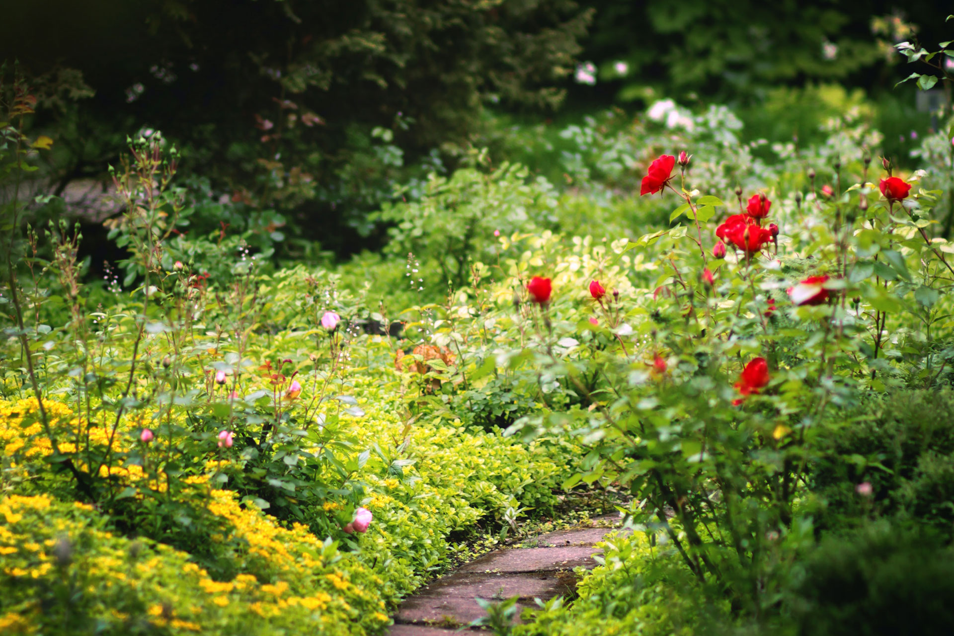 Historic Gardens for Victorian Homes | a Blade of Grass | Boston ...